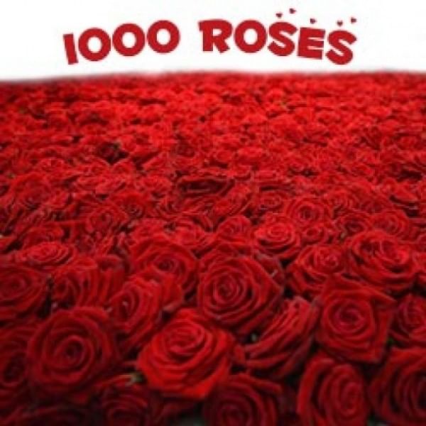 1000 Roses- MyFlowerTree